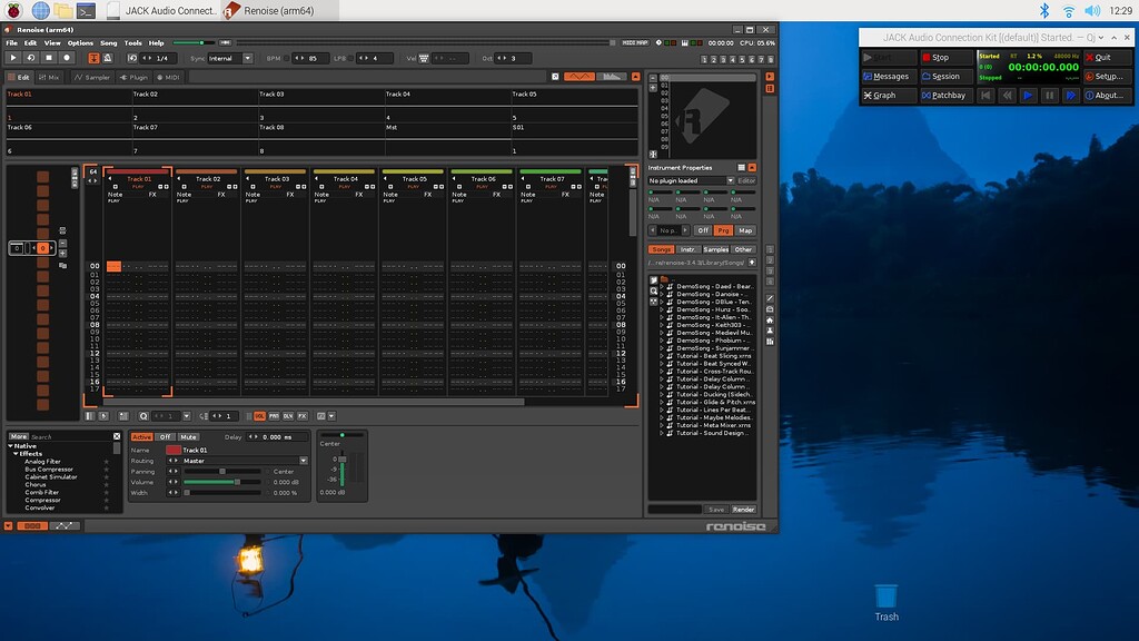 Renoise 3.4.3 | 64bit Raspberry Pi (Bookworm) | Window manager issue ...